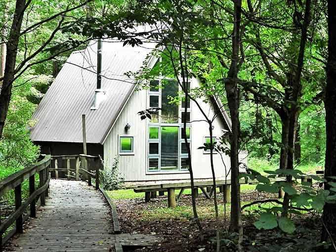 The Ohio Bird Sanctuary offers peaceful woodland retreats, where feathered residents live better than most people's vacation homes.