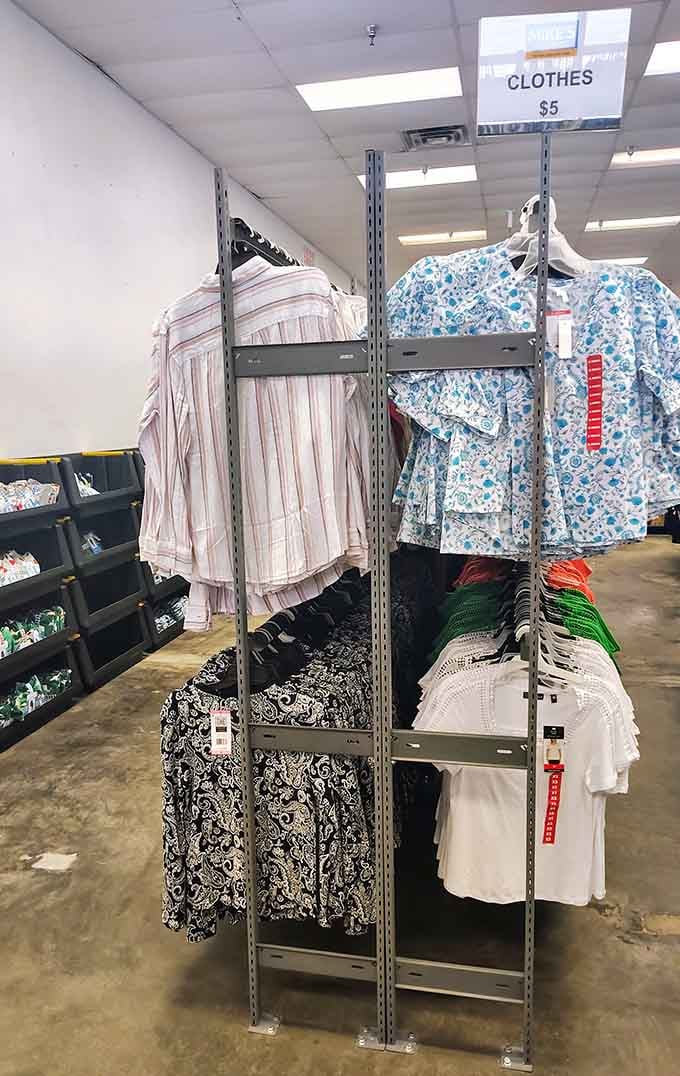 Clothing racks organized by price, where five-dollar shirts prove that looking good doesn't require emptying your entire wallet.