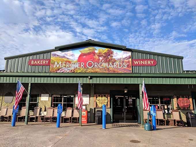 Mercier Orchards welcomes visitors with fresh produce and baked goods that celebrate Georgia's agricultural bounty and mountain heritage.