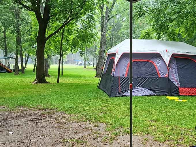 Spacious campsites under towering trees where your tent becomes a front-row seat to nature's nightly show.