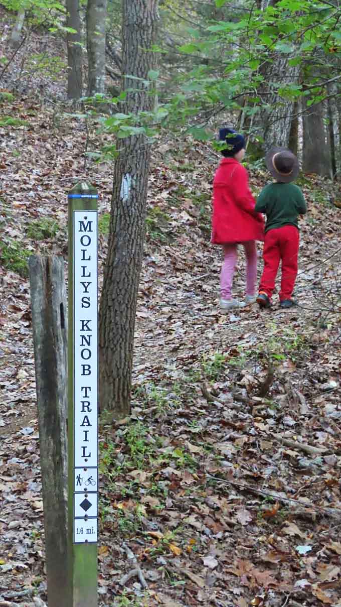 The trail sign that marks your path to glory, because even spectacular views need proper directions to find them.