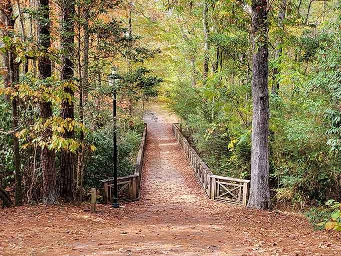 Walking trails wind through Alabama forests, inviting you to slow down and breathe in the pine-scented air.