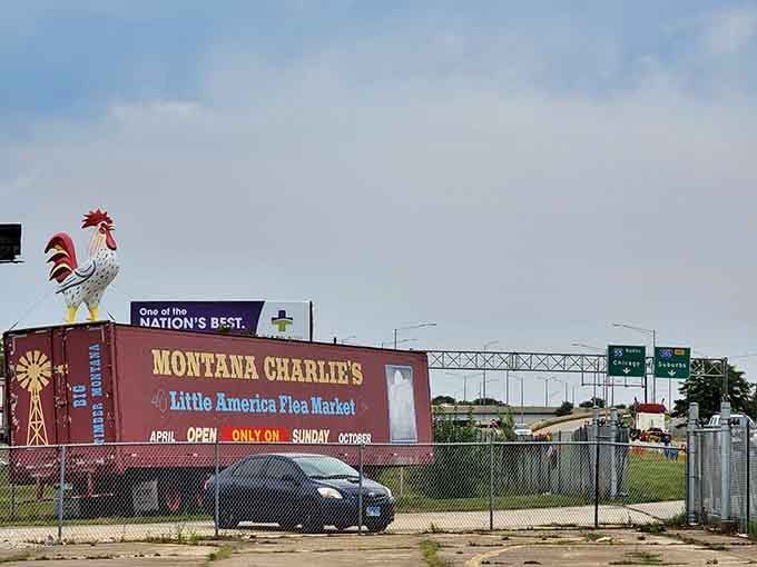 The iconic rooster sign welcomes treasure hunters to Little America, where every Sunday brings new possibilities and parking that doesn't require therapy.