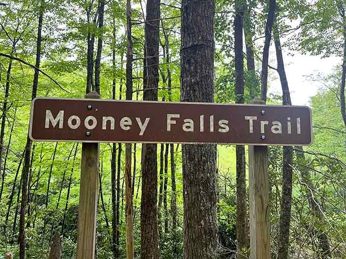 The trail sign that marks the beginning of an adventure your legs won't soon forget.