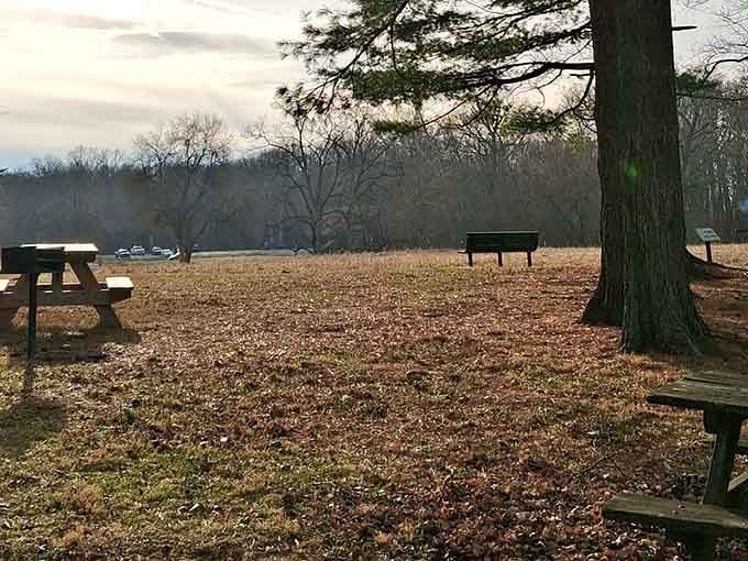 Picnic tables waiting for your next family gathering, complete with views money can't buy anywhere.