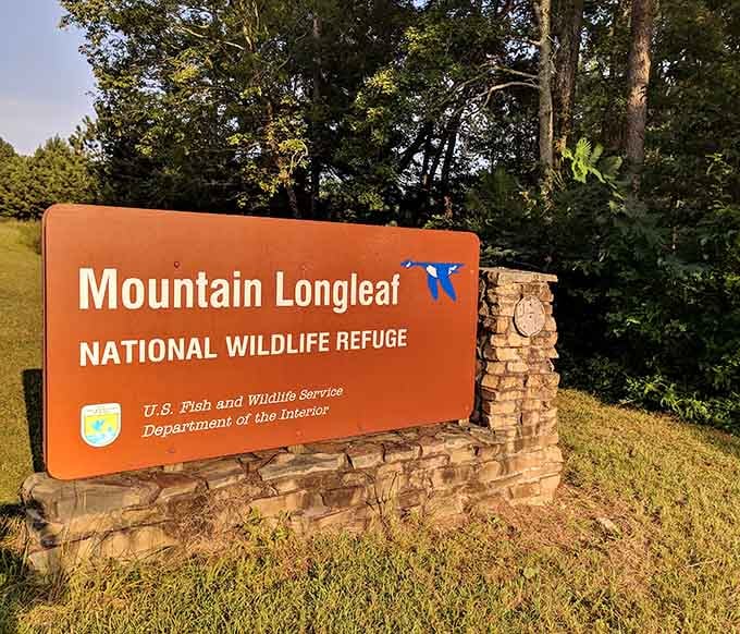 That official welcome sign marks the entrance to your next great Alabama adventure in the longleaf pines.