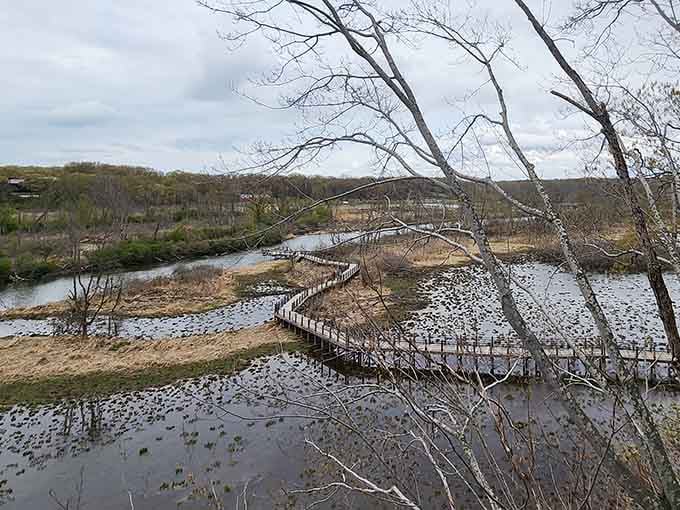 The Galien River winds through the landscape, offering kayakers a front-row seat to nature's quiet show.