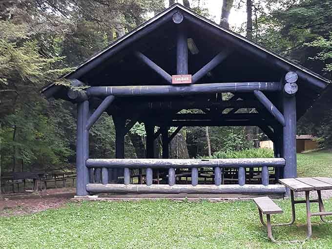 A sturdy pavilion built from logs provides shelter and gathering space where families create memories worth keeping forever.