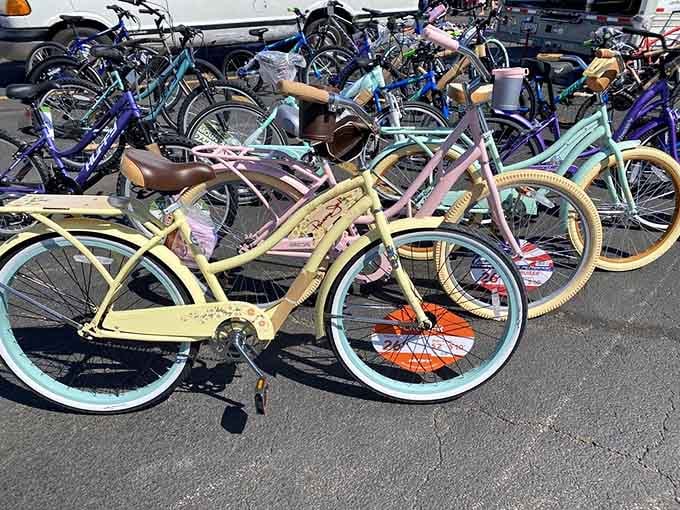 Colorful bicycles ready to roll into summer adventures without the boutique bike shop sticker shock.