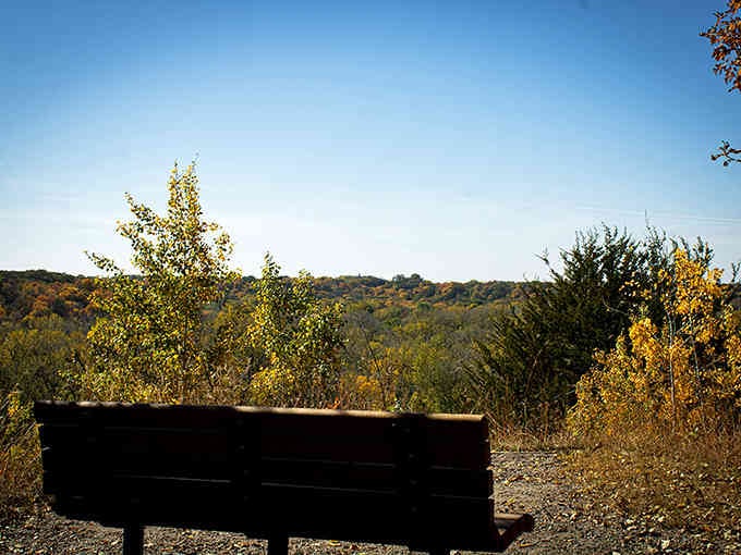 A quiet bench overlooks rolling hills painted in autumn gold, inviting contemplation and maybe a good sandwich.
