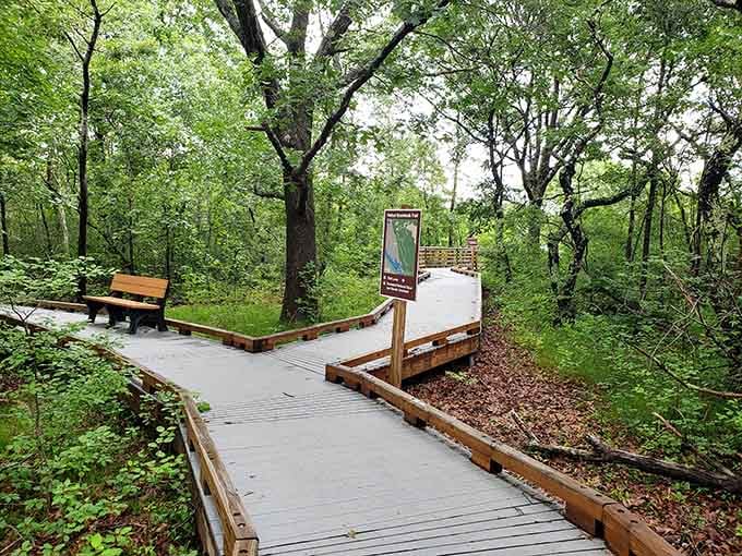 Parker River's boardwalk winds through wetlands like nature's own highway, offering peaceful woodland views that soothe the soul completely.