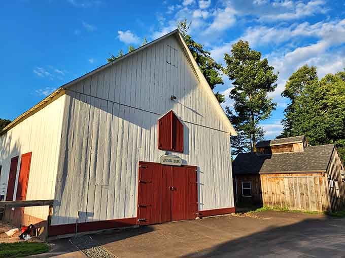 The animal barn stands ready to introduce you to residents who are friendlier than most of your actual neighbors.