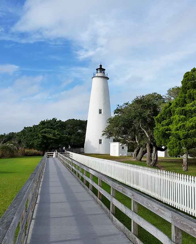 Ocracoke Lighthouse has been guiding sailors home since 1823, still standing proud among the twisted oaks.
