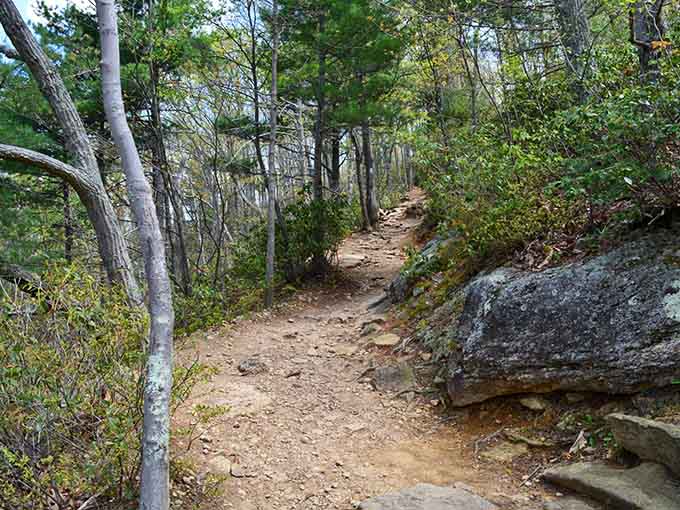 That gentle incline whispers sweet lies about what's coming next on this adventure.