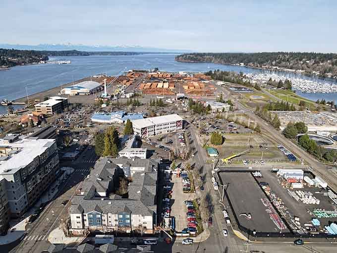 From above, Olympia reveals its perfect blend of waterfront access, urban development, and surrounding natural beauty in one frame.