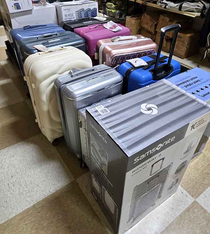 Samsonite luggage lined up like soldiers, prepared to accompany your adventures at prices that encourage more travel.