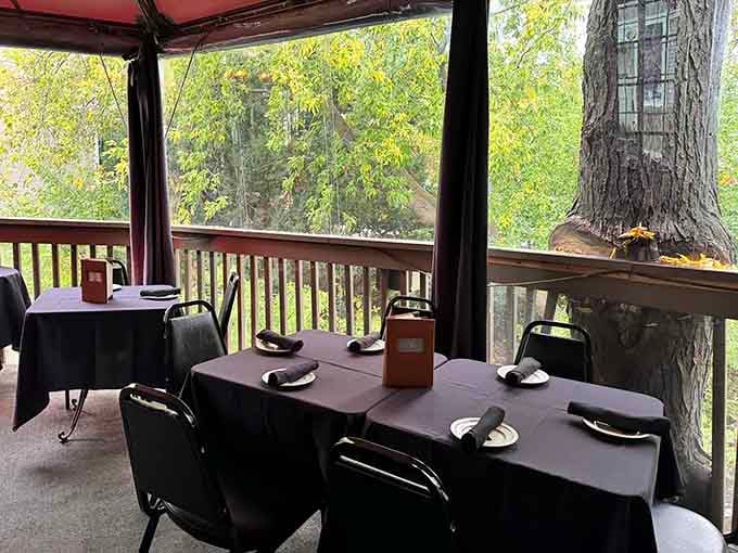 Treetop dining on the terrace offers nature's ambiance with your perfectly cooked protein of choice.