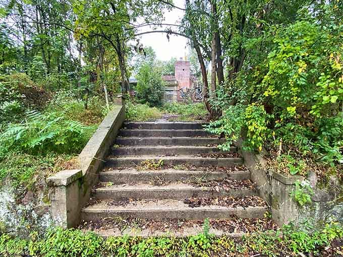 Concrete stairs lead upward through overgrowth, inviting exploration while warning of what lies ahead.
