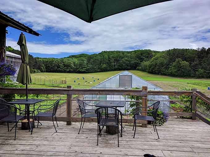 Outdoor seating with rolling fields and farm views that make you forget your phone exists, at least temporarily anyway.