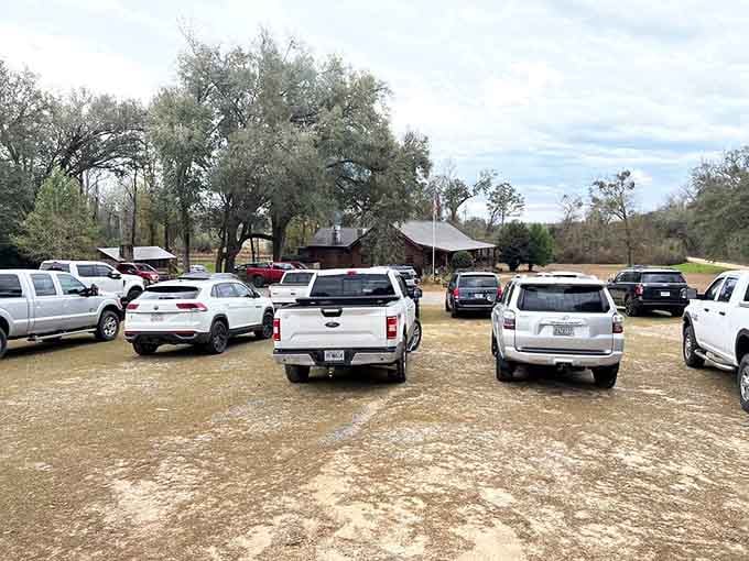 When the parking lot looks like this, you know you've found a place the locals truly love.