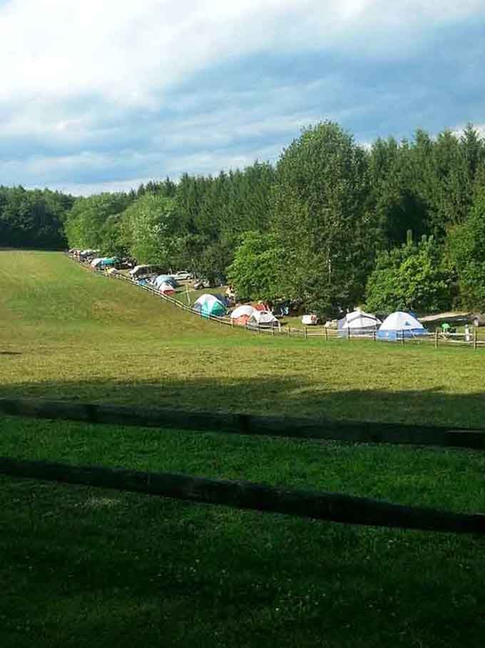 Camping beneath rolling hills where the Wi-Fi is terrible but the stargazing makes up for every lost signal bar.