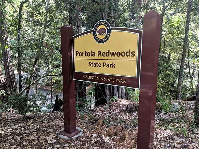 The official welcome sign, because even peaceful forests need proper introductions before you start exploring them.