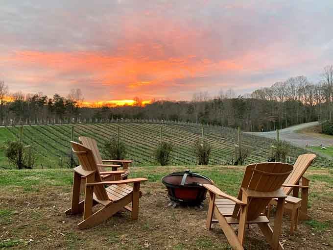 Sunset over the vineyard delivers those golden hour views that make you forget your phone exists for five whole minutes.