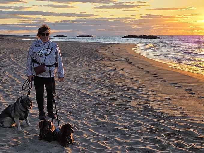 Dogs living their absolute best lives on the beach, proving that Presque Isle welcomes the whole family, paws included.