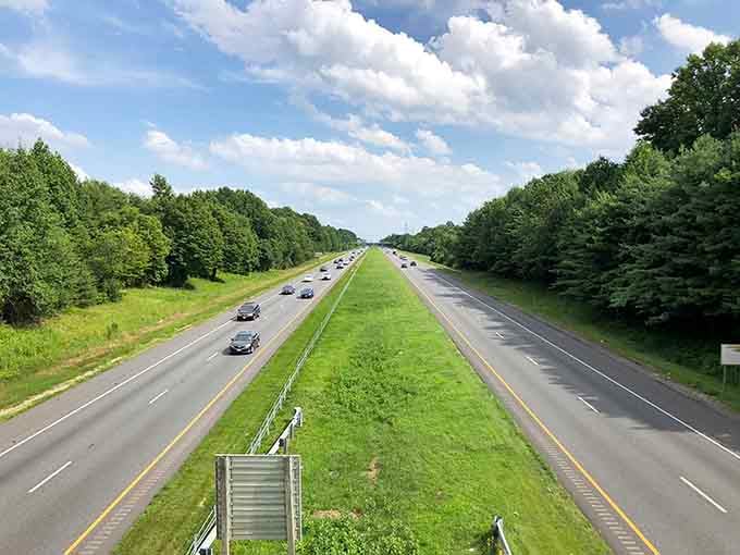 Modern highways flanked by green, proving infrastructure and nature can coexist without constant warfare between them.