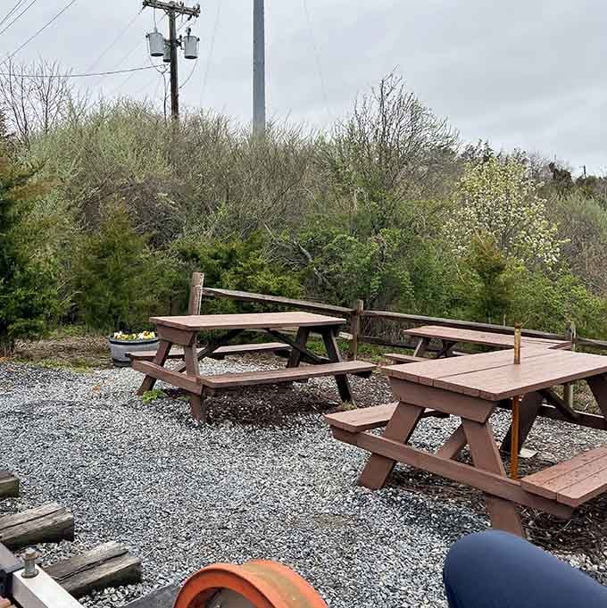 Picnic tables await at the turnaround point, perfect for snacks and debating who actually did more pedaling.