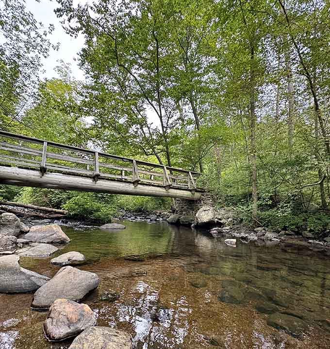 Wooden bridges crossing streams where the only traffic jam involves ducks refusing to share the road.