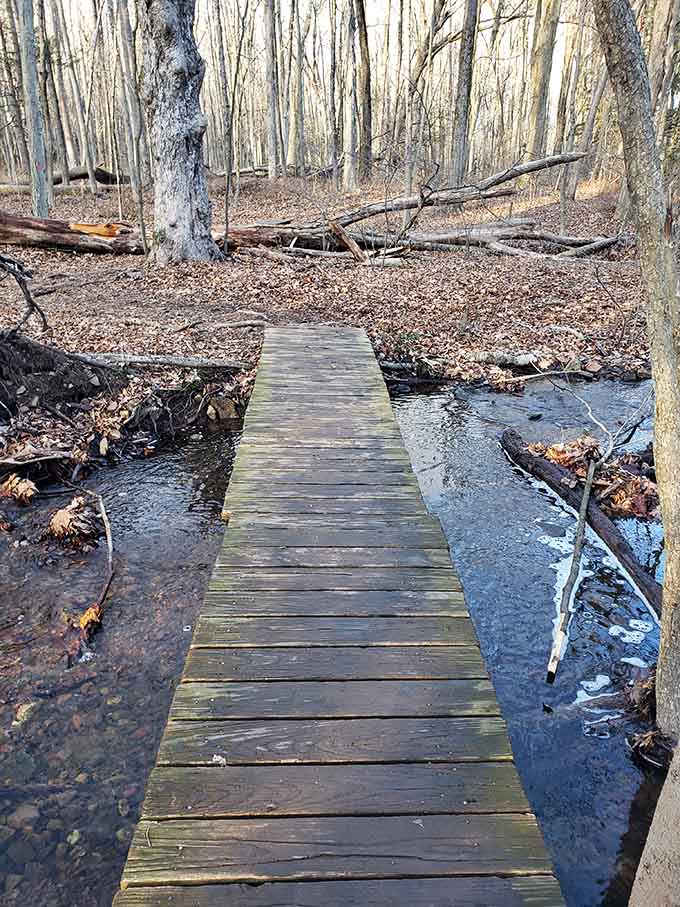 This wooden bridge crosses the brook with simple charm, making you feel like you're in a Hallmark movie without the cheesy dialogue.