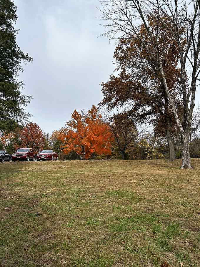 The parking area where your autumn adventure begins, and your excuses for staying inside end.