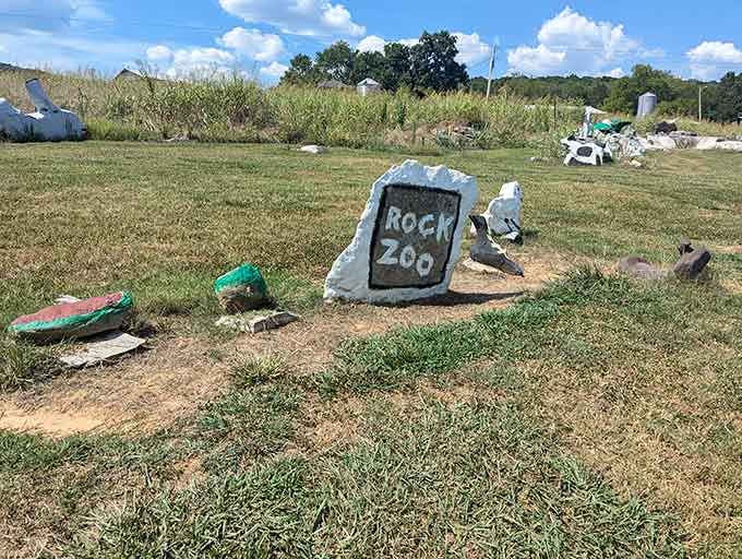 The Rock Zoo sign welcomes you to the world's most low-maintenance animal sanctuary, where feeding time is permanently canceled.