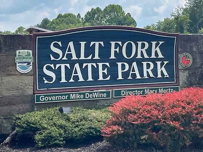 The official welcome sign that says you've arrived at paradise, population: deer, hikers, and people escaping reality.