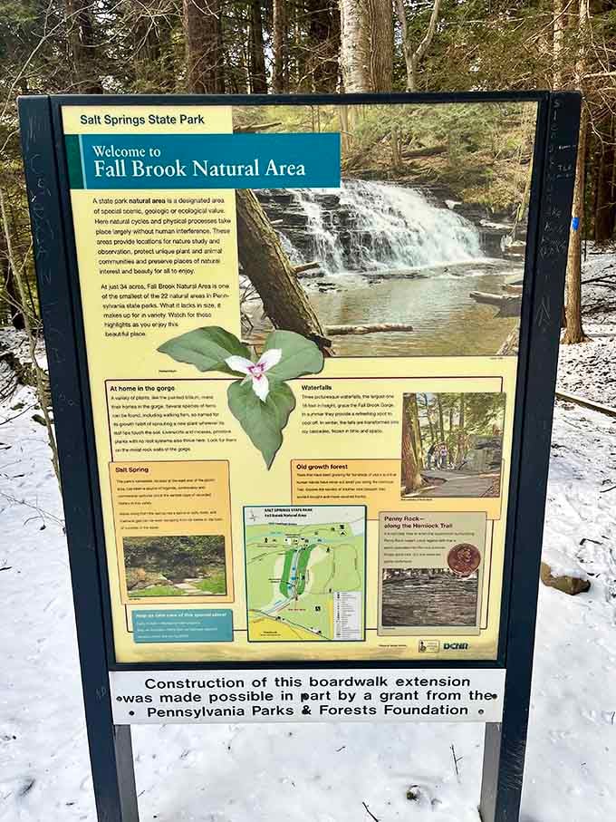 Educational signs that actually make you want to read them, unlike those terms and conditions you always skip.