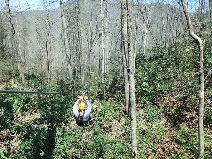Zip through the canopy like a slightly terrified bird, proving you're never too old for gravity-defying mountain adventures.