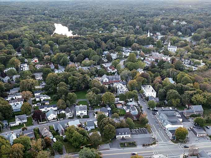 The aerial view reveals a town nestled in trees, proving that some places still value green space over strip malls.
