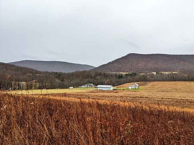 Rolling farmland and distant mountains create views that make your screensaver look positively amateur.