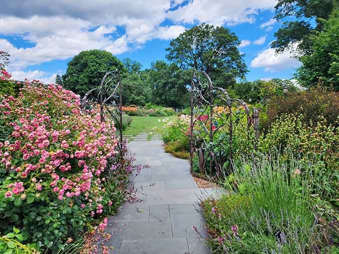 Ornamental gates frame pathways lined with roses, inviting you deeper into gardens that just keep getting better.