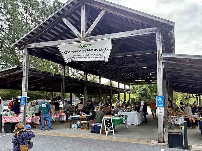 The farmers market pavilion buzzes with Saturday morning energy as locals gather for fresh produce and friendly gossip.