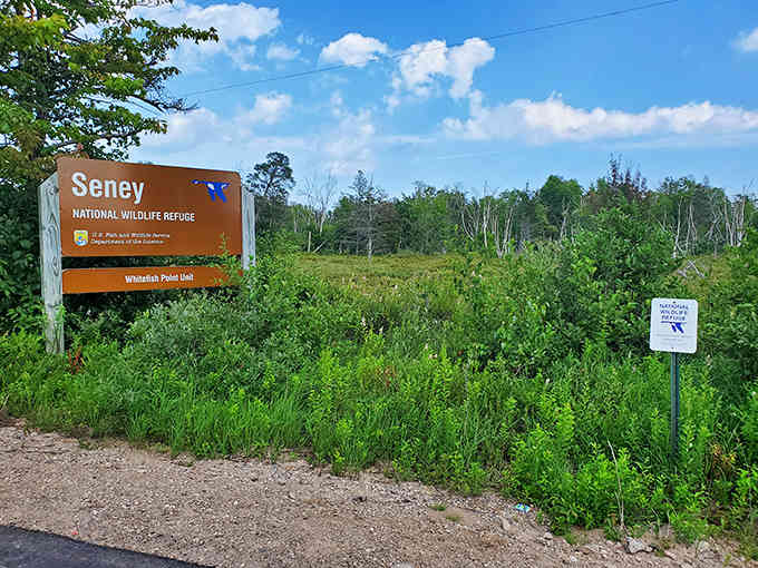 The official welcome sign to Seney stands proud against endless green, marking where your everyday world ends and wonder begins.