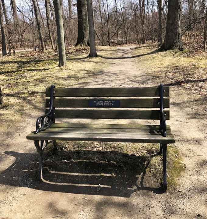 A quiet bench along the trail invites you to sit, breathe, and remember what peace actually feels like.