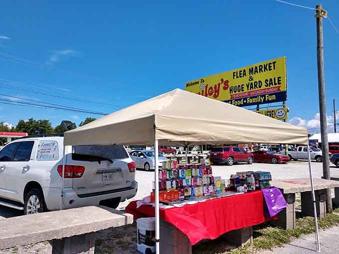 The iconic yellow sign beckons bargain hunters like a lighthouse guides ships &ndash; your destination has arrived, friend.