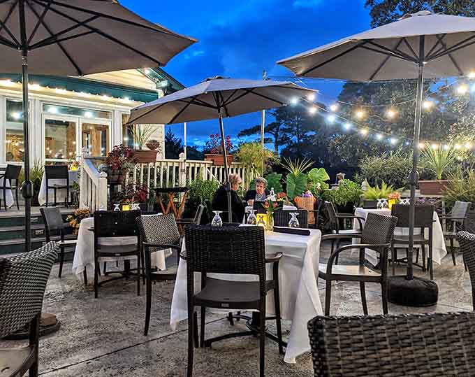 Patio dining under string lights with creek views, because some meals taste better when enjoyed under the Virginia sky.