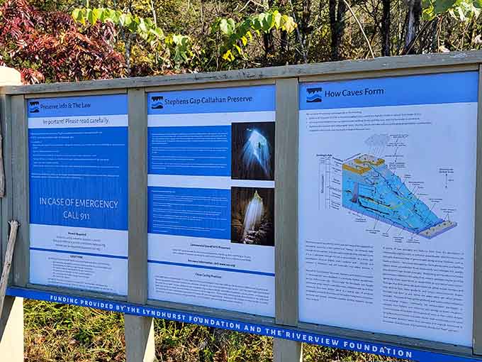 This information board is basically nature's way of asking if you've updated your emergency contacts recently.