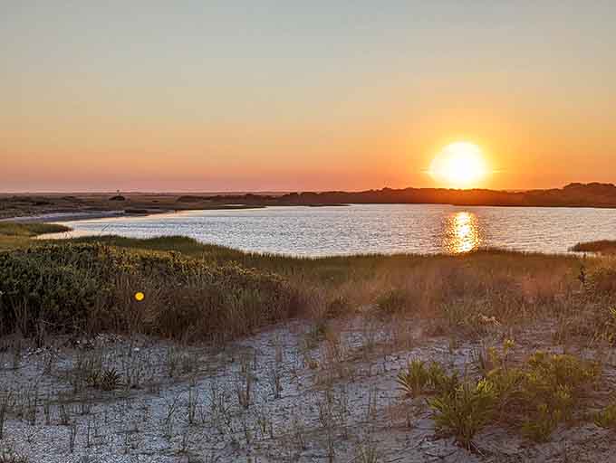 When the sun sets over the marshland, even your phone camera becomes a professional photographer somehow.