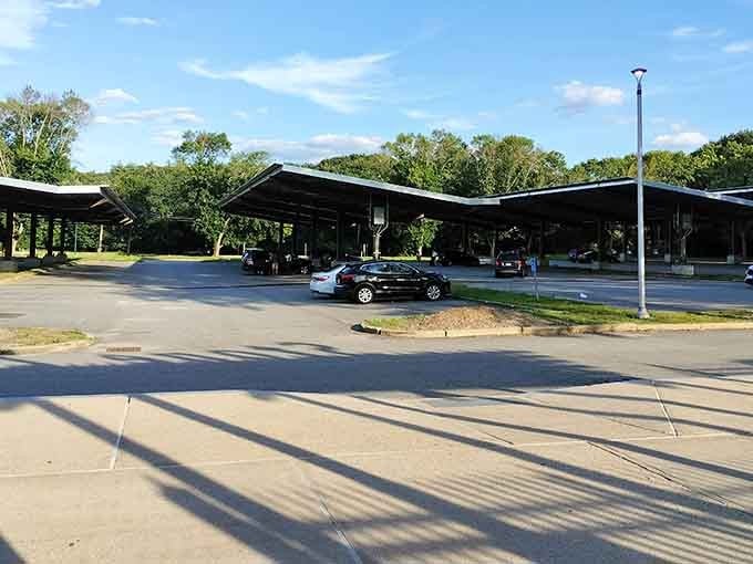 Ample parking means your wildlife adventure begins stress-free, without circling like a confused migratory bird looking for home.