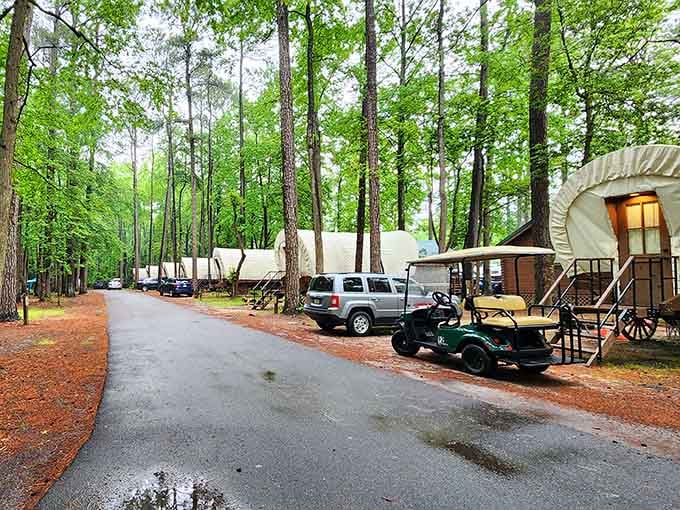Covered wagon cabins provide glamping options for those wanting Western vibes with actual mattresses and electricity.
