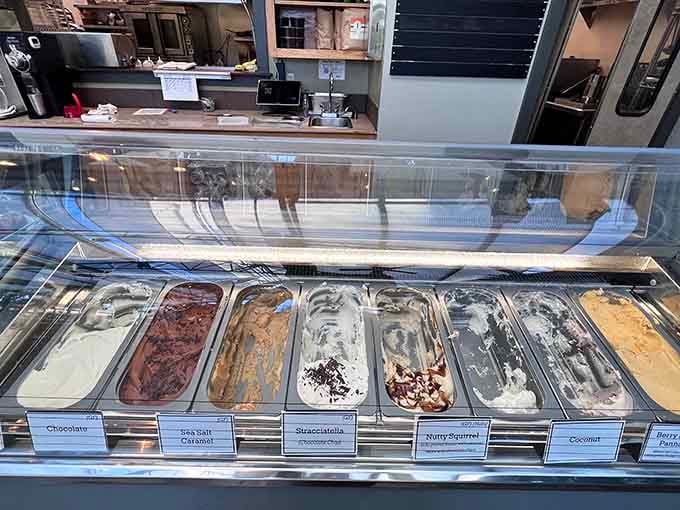 Decisions, decisions: which flavor will make your afternoon complete in this sweet display of frozen temptation and pure joy?